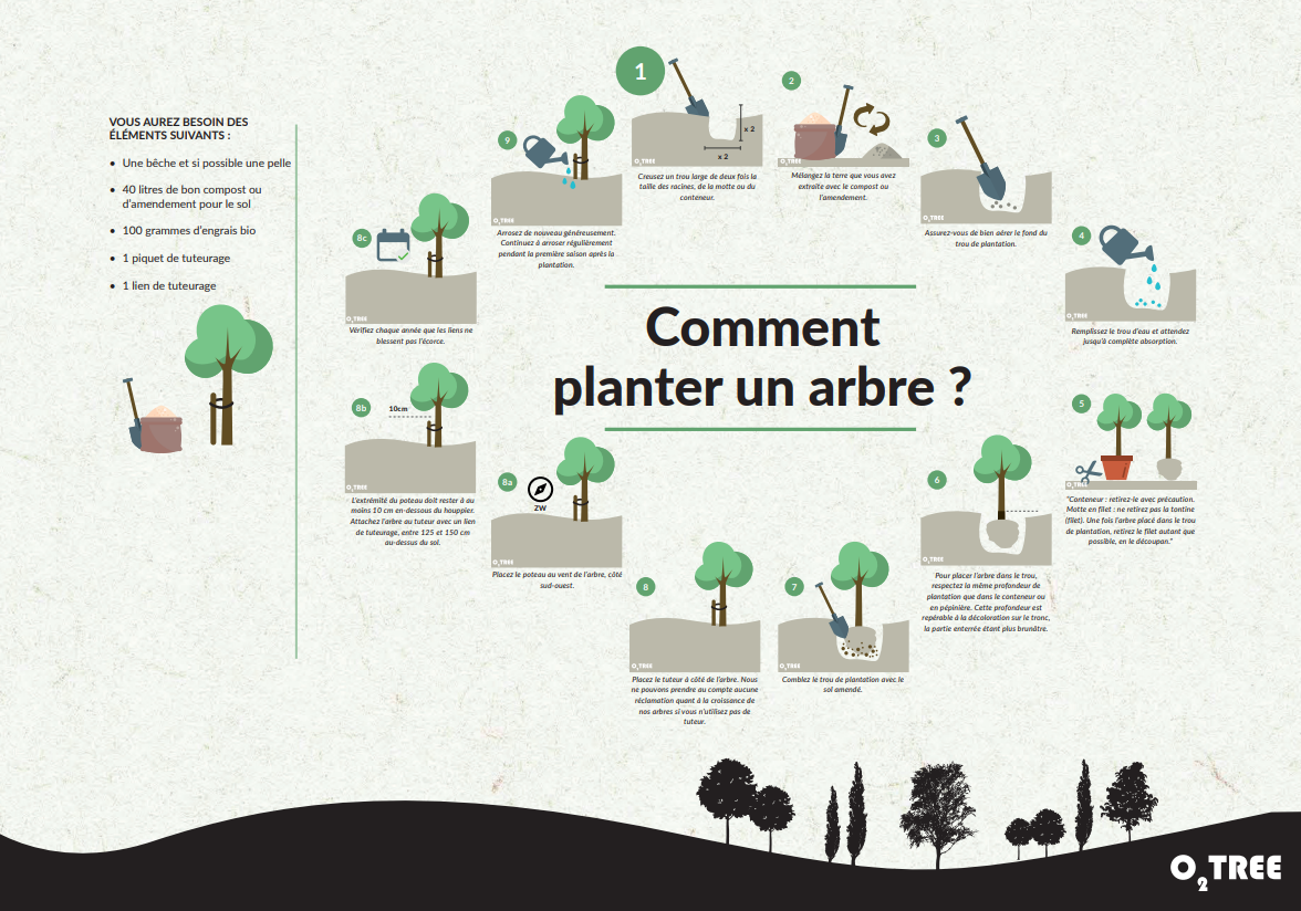 Informations sur la plante | O₂ Tree